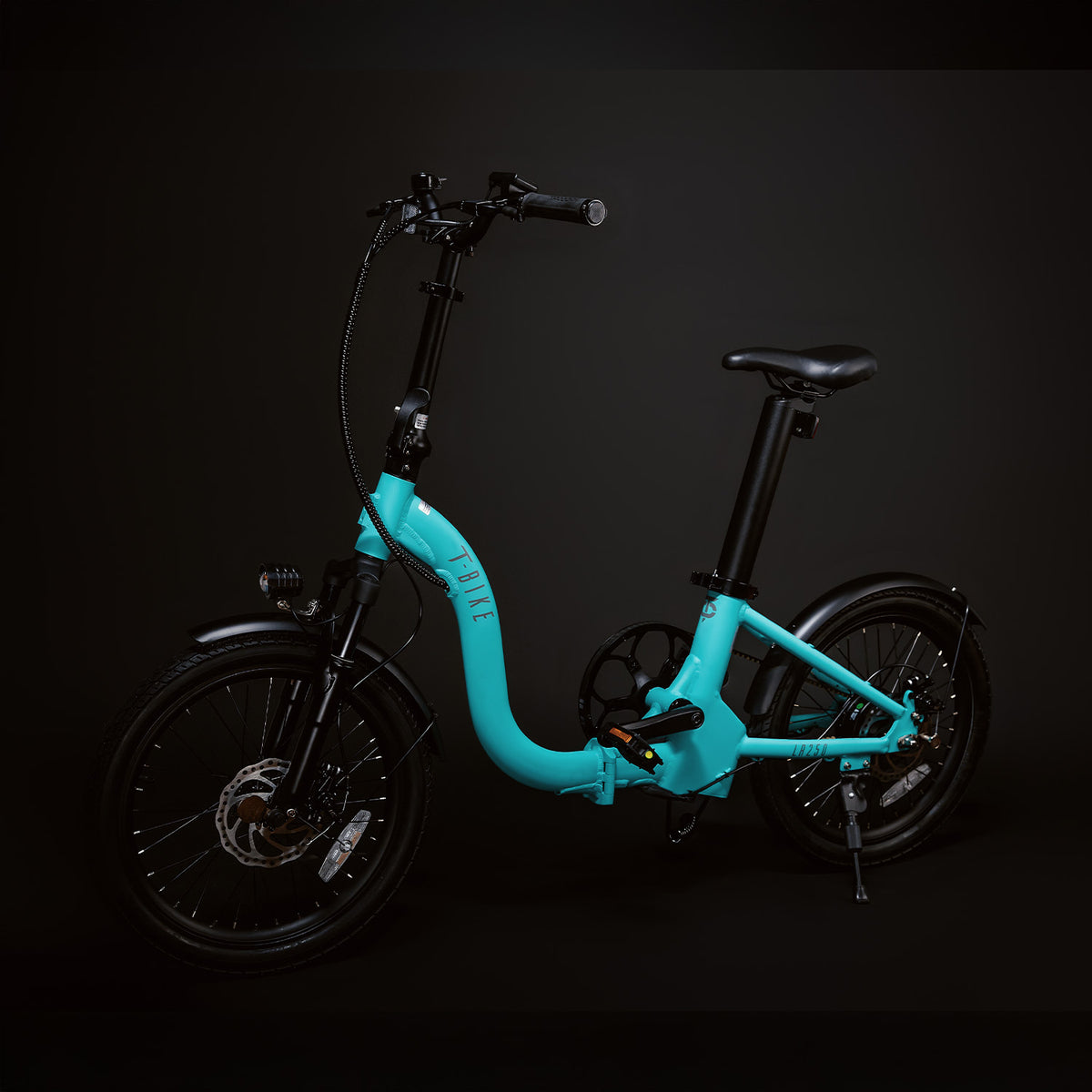 LR250 Folding Electric Bike - Efficient, Powerful, and Convenient – T-Bike